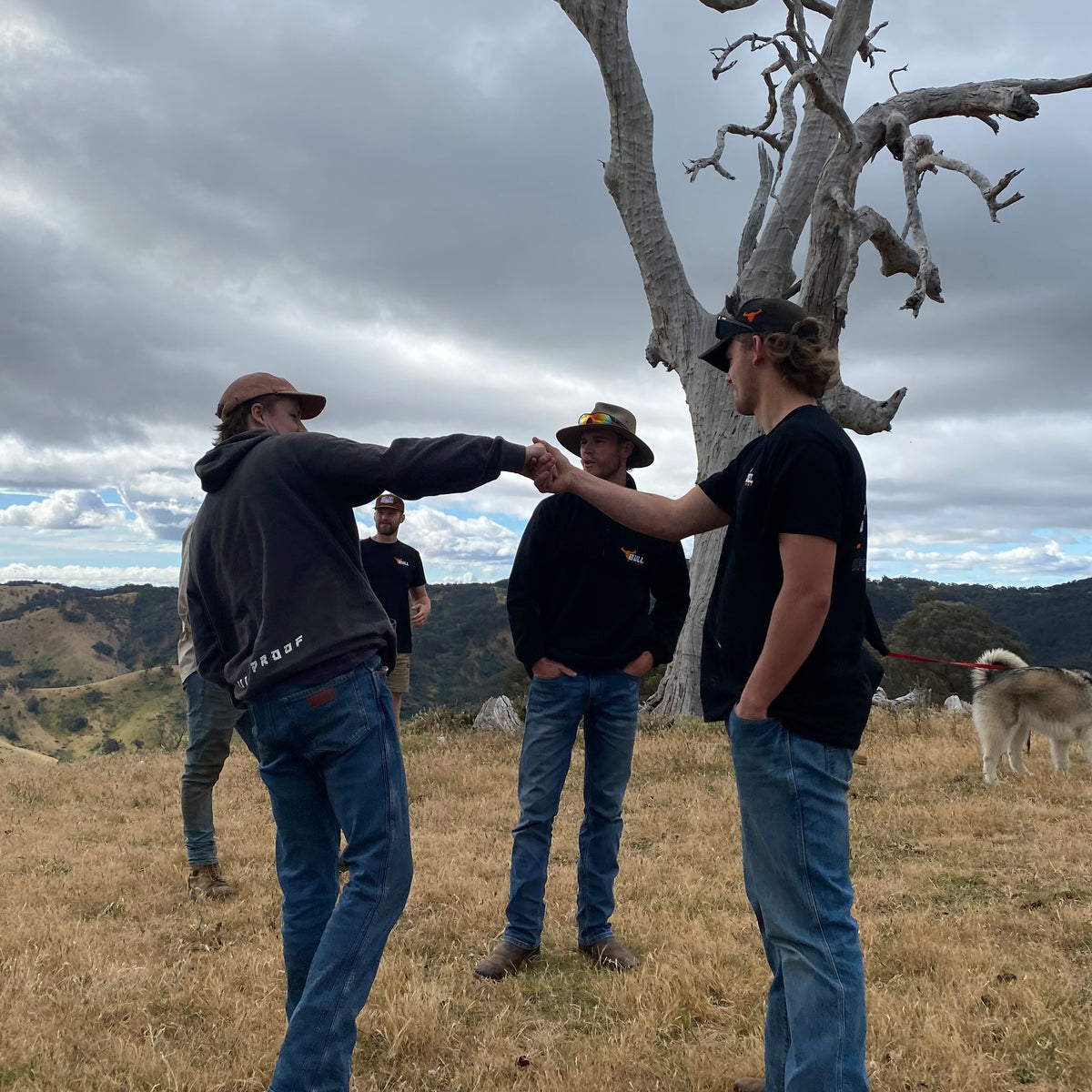 Jackets & Hoodies – Bull Proof Pty Ltd